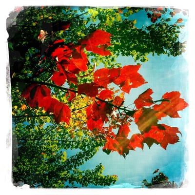 MILL HOLLOW VERMILION RIVER RESERVATION - Updated September 2025 - 30 ...