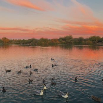 RIPARIAN PRESERVE AT WATER RANCH - 653 Photos & 231 Reviews - 2757 E ...