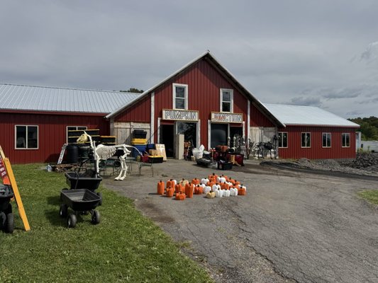 PUMPKIN JUNCTION - Updated December 2025 - 10 Photos - 2188 Graffenburg ...