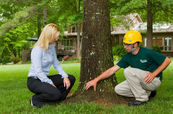 BARTLETT TREE EXPERTS - Updated October 2025 - 43 Photos - 21220 Ashburn Crossing Dr, Ashburn ...