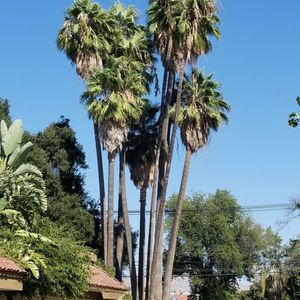 SHAMEL PARK - Updated August 2025 - 40 Photos - 3650 Arlington Ave ...