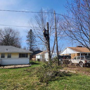 TNT TREE EXPERTS - Updated December 2025 - 12 Photos - Holly, Michigan ...
