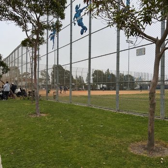 Are Dogs Allowed At Huntington Beach Sports Complex