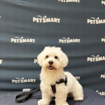 PETSMART - Updated January 2026 - 126 Photos & 206 Reviews - 2465 East ...