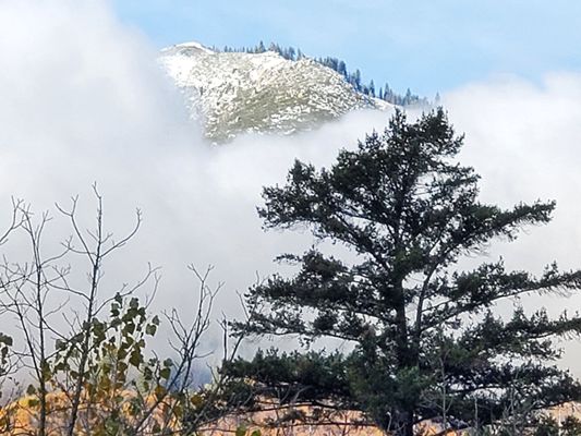 BELDEN TOWN & LODGE RESORT - Updated November 2024 - 42 Photos & 49 ...