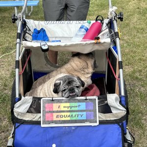 PETS R’INN - Updated December 2025 - 2800 S Columbia Rd, Grand Forks ...