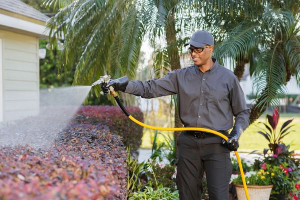 SOS EXTERMINATING - Updated January 2026 - 15 Photos & 43 Reviews - 1240 West San Pedro Street ...