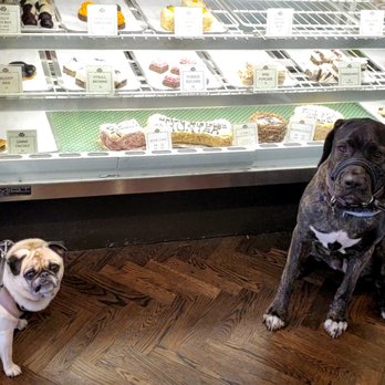 LE MARCEL BAKERY FOR DOGS - Updated August 2024 - 259 Photos & 160 ...