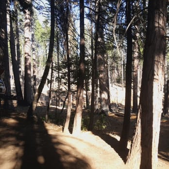 STUMPY MEADOWS - Updated August 2025 - 102 Photos & 54 Reviews ...