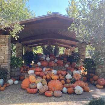 GRAPEVINE BOTANICAL GARDENS - Updated December 2025 - 295 Photos & 66 ...