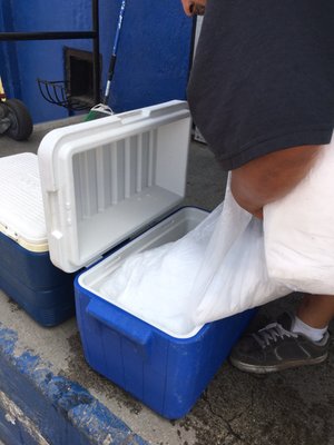 LONG BEACH ICE - Updated December 2025 - 40 Photos & 62 Reviews - 1600 ...