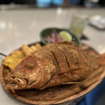 PISCO PERUVIAN GASTROBAR - Updated February 2025 - 534 Photos & 189 ...