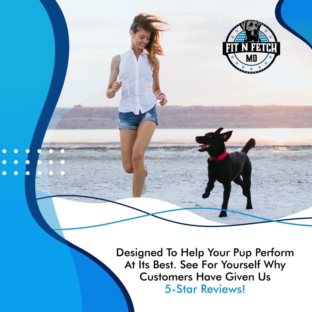 FIT N FETCH MD - Updated May 2024 - Request Information - 813 E Park ...