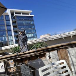 EL ALMA - Updated January 2026 - 1645 Photos & 1415 Reviews - 1025 ...