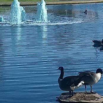 SUNNYVALE COMMUNITY CENTER - Updated September 2025 - 158 Photos & 40 ...