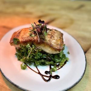 THE GLASS CAT CAFE - Updated January 2025 - Average of 4.2 Stars ...