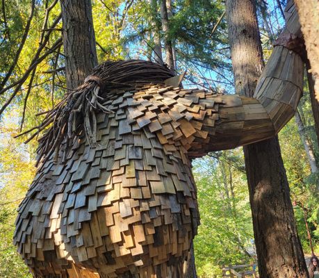 JAKOB TWO TREES - Updated December 2025 - 64 Photos & 13 Reviews - 301 ...