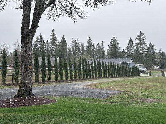 REXIUS - Updated December 2025 - 49 Photos & 31 Reviews - 150 Hwy 99 N ...