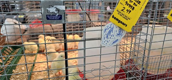 BOMGAARS - Updated July 2025 - 13 Photos - 6 E Shawnee St, Muskogee ...