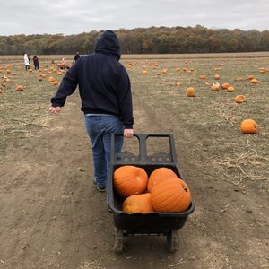 RED BARN RANCH - 23111 S Jefferson Pkwy, Harrisonville, Missouri ...