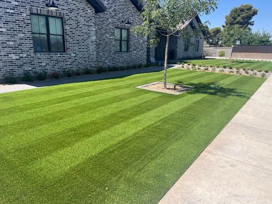 ARIZONA ARTIFICIAL LAWNS - 229 Photos & 56 Reviews - 1800 S 7th Ave ...