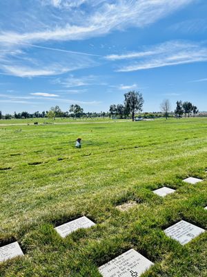 RIVERSIDE NATIONAL CEMETERY - Updated September 2024 - 347 Photos & 135 ...