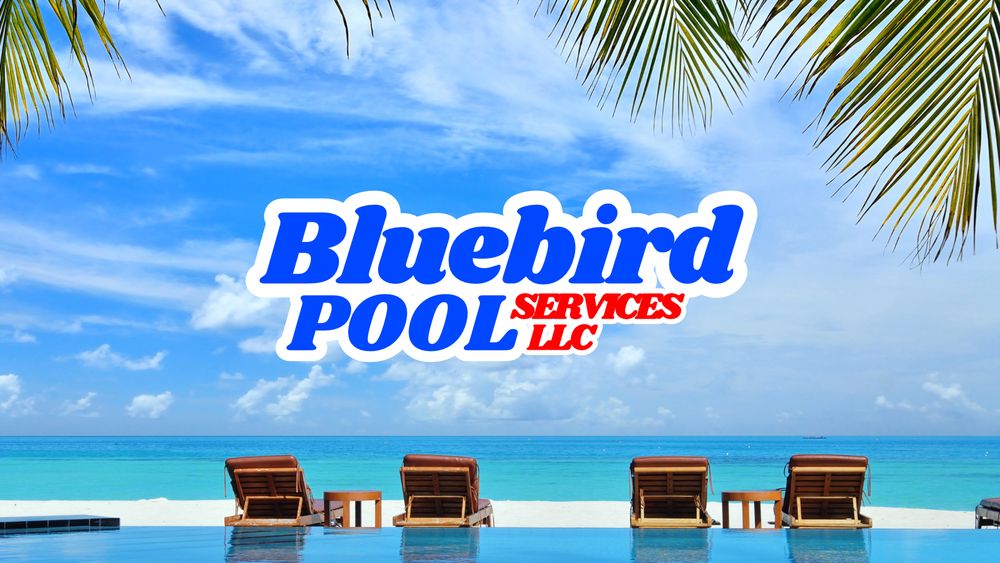 BLUEBIRD POOL SERVICES - Updated August 2025 - 56 Photos - 3984 Mount ...