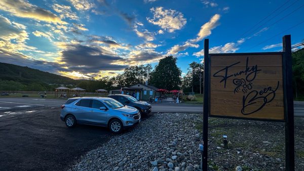 FUNKY BEEZ - Updated December 2025 - 15 Photos & 14 Reviews - 1344 Rte ...