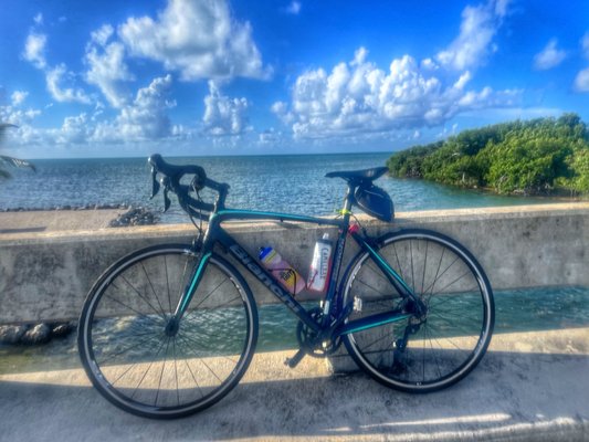 WE CYCLE - Updated December 2025 - 42 Photos & 278 Reviews - 5160 US Hwy 1, Key West, Florida ...