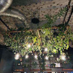 JOJO - Updated January 2026 - 490 Photos & 315 Reviews - 902 NW 13th ...