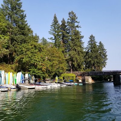 LAKE GROVE SWIM PARK - Updated December 2025 - 11 Photos - 3800 ...