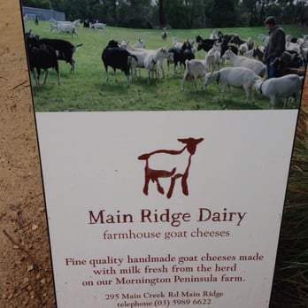 MAIN RIDGE DAIRY - Updated April 2025 - 10 Photos - 295 Main Creek Rd ...