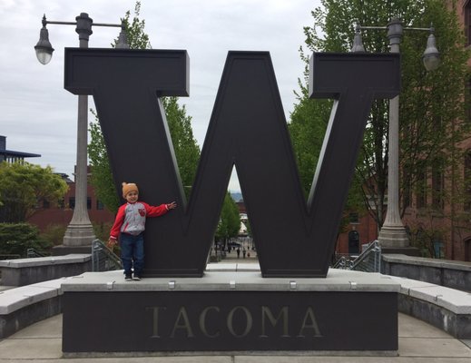 UNIVERSITY OF WASHINGTON TACOMA - Updated March 2025 - 12 Photos & 14 ...