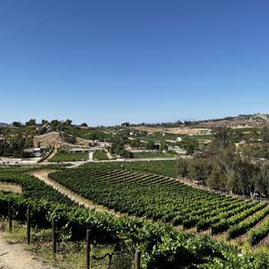 OAK MOUNTAIN WINERY - 1760 Photos & 995 Reviews - 36522 Via Verde ...