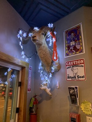 THE ANGRY GOAT PUB - 130 Photos & 140 Reviews - 938 Clinton Ave S ...