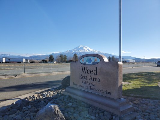WEED REST AREA - Updated December 2024 - 64 Photos & 18 Reviews ...