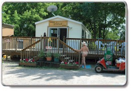 AVATAN - 52 Photos - 524 Sims Rd NE, Cedar, Minnesota - Social Clubs ...