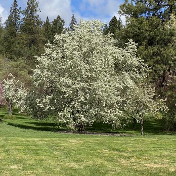 JOHN A FINCH ARBORETUM - Updated September 2024 - 38 Photos & 20 ...