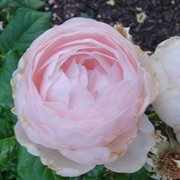 ASCENSION BORGESS HOSPITAL - 24 Photos & 45 Reviews - Hospitals - 1521 ...