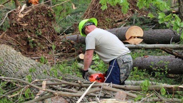 TREE SERVICE CALGARY - Updated December 2025 - 25 Photos - 538 ...