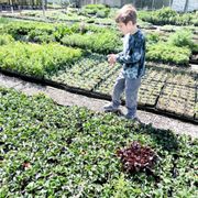 MESQUITE VALLEY GROWERS NURSERY - 392 Photos & 192 Reviews - 8005 E ...
