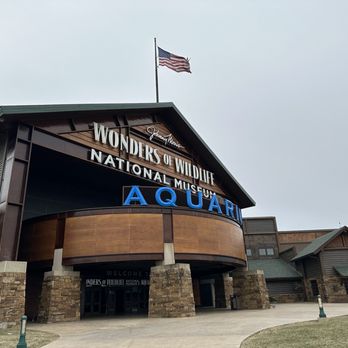 WONDERS OF WILDLIFE NATIONAL MUSEUM & AQUARIUM - Updated August 2025 ...