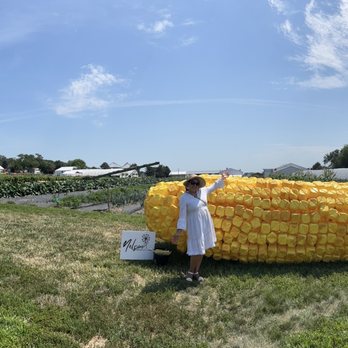 NELSON PRODUCE FARM - Updated April 2025 - 161 Photos & 24 Reviews ...