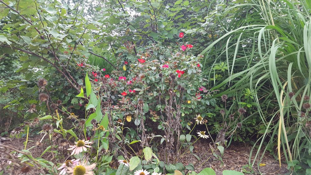 MATHEW’S PARK - Updated November 2024 - 11050 Ayrshire Dr, Bridgeton ...