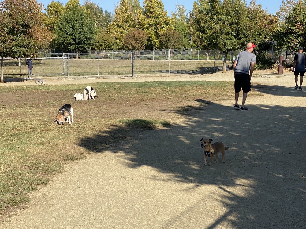 BEAR DOG PARK - Updated December 2025 - 46 Photos & 68 Reviews - 1575 ...