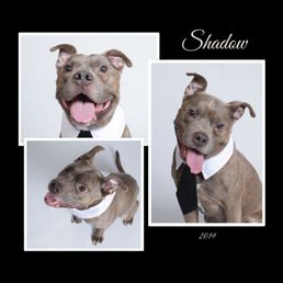 Jcp Portraits Reviews | Read Customer Service Reviews of jcpportraits.com