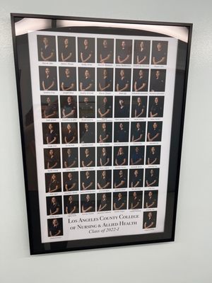 LOS ANGELES COUNTY COLLEGE OF NURSING AND ALLIED HEALTH - Updated ...