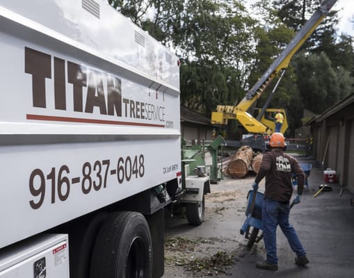 TITAN TREE SERVICE - Updated December 2025 - 27 Photos & 101 Reviews ...