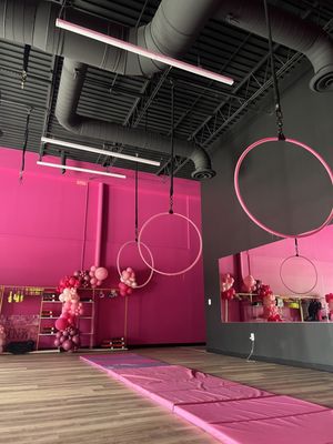 PINK DANCE AND AERIAL STUDIO - Updated December 2025 - 1030 White St ...