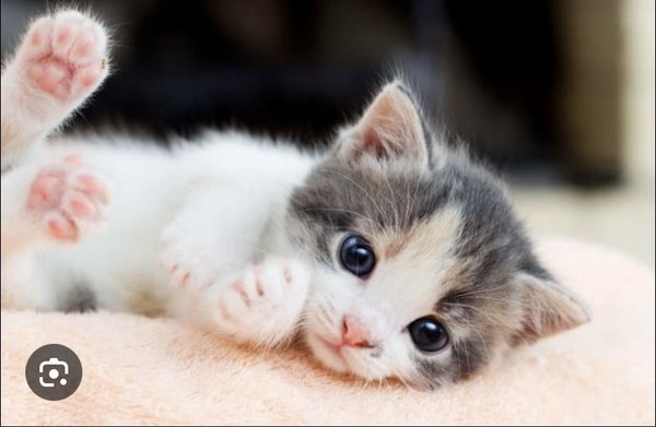 TRIPLE CROWN FAMILY FUN CENTER - Updated June 2025 - 23 Photos & 27 ...